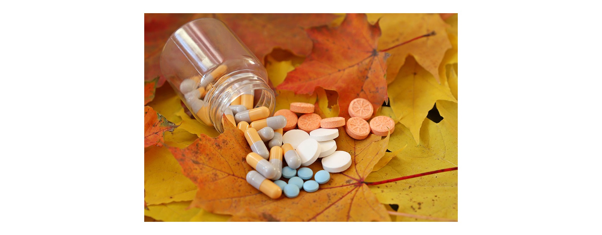 Rester en forme en automne : les compléments alimentaires indispensables