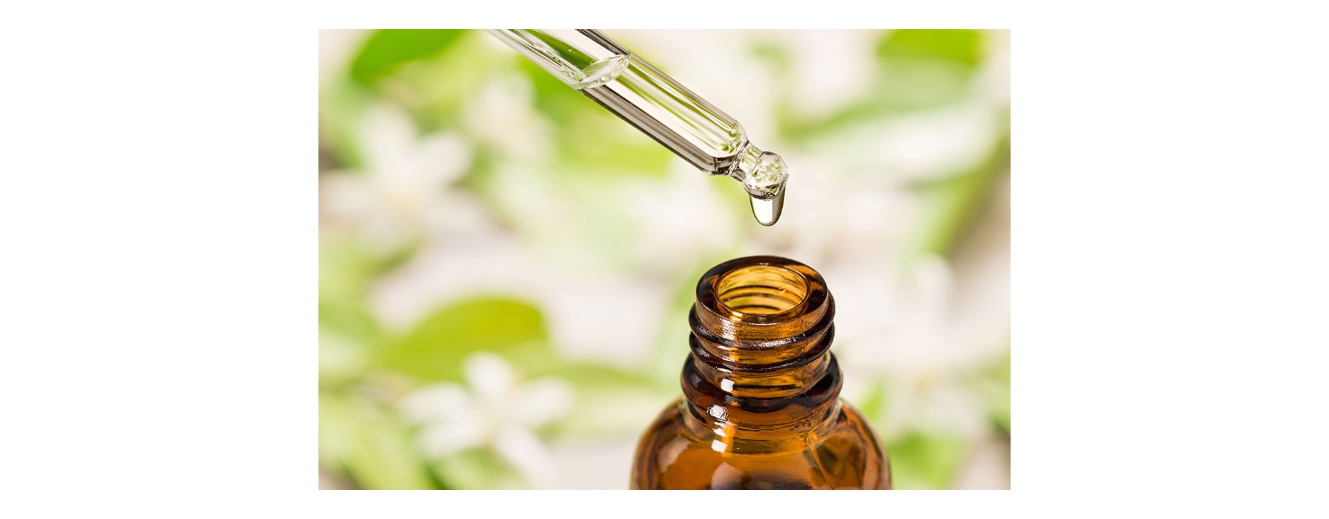 Quels sont les bienfaits de l'huile essentielle de ciste